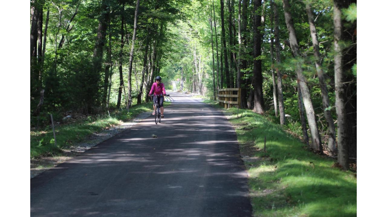 Photo Essay: The Bruce Freeman Rail Trail – Sudbury Weekly