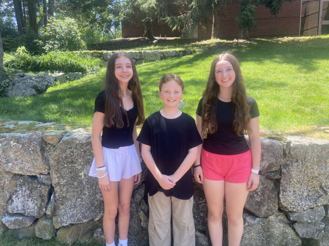 Sudbury residents take the stage in Weston summer productions – Sudbury ...